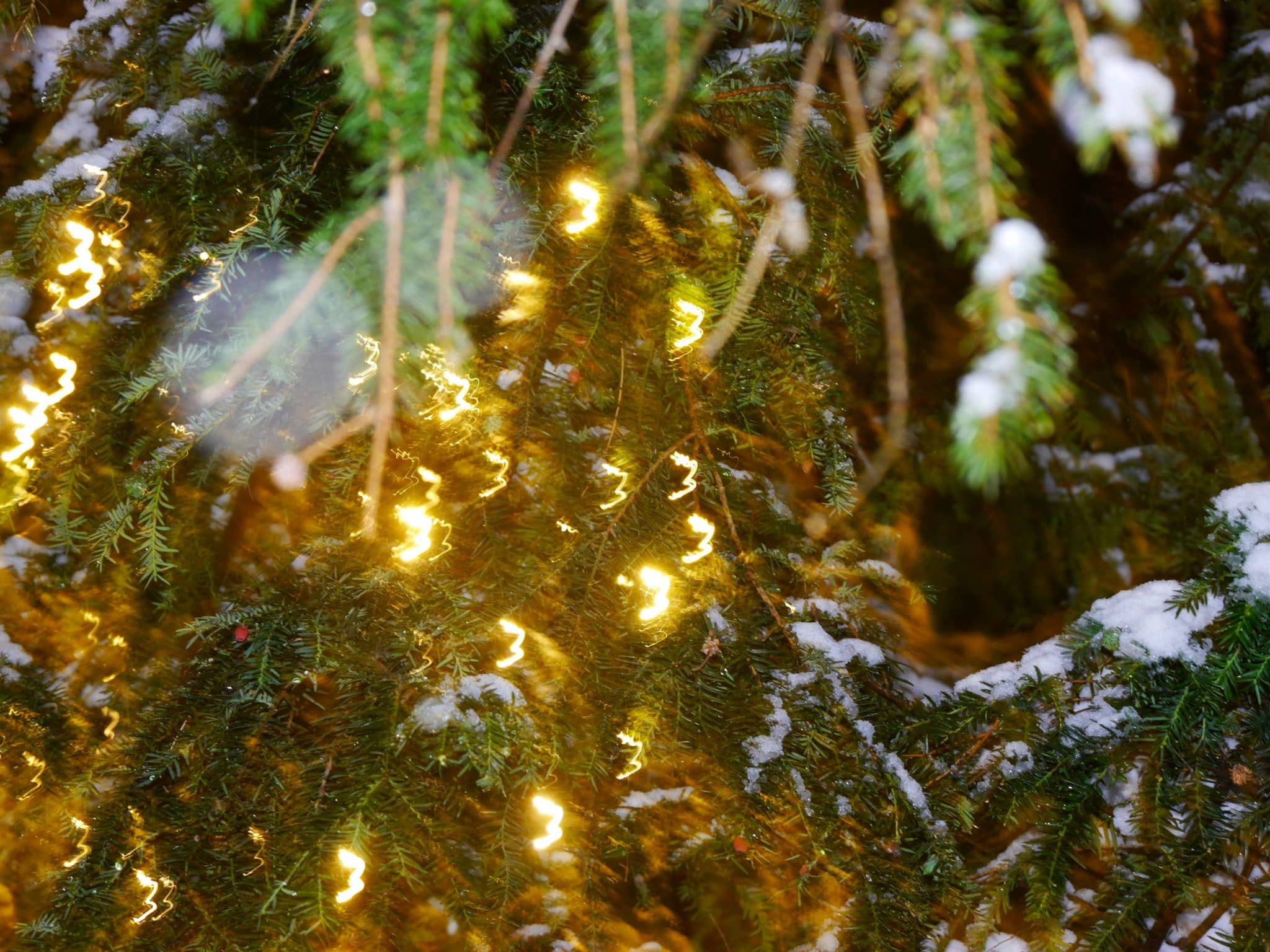 "The weapons down" » Regina Hruška